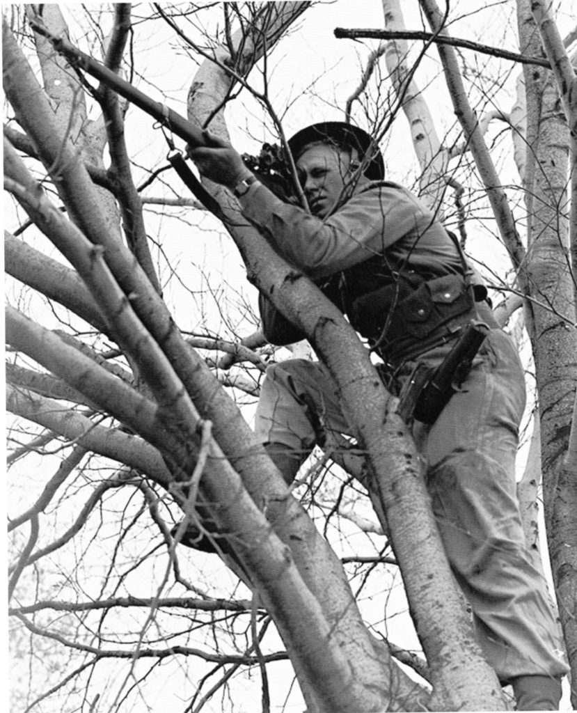 Sniper Cdn 1942 w Ross in tree HSAS p372 – www.captainstevens.com